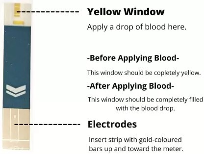 SD Codefree 100 Test Strips - Healkit UAE